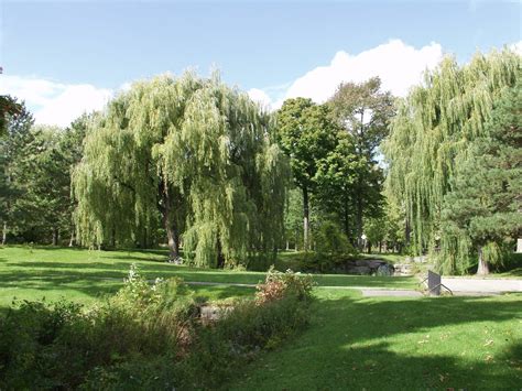 21 Best Montreal Parks To Explore