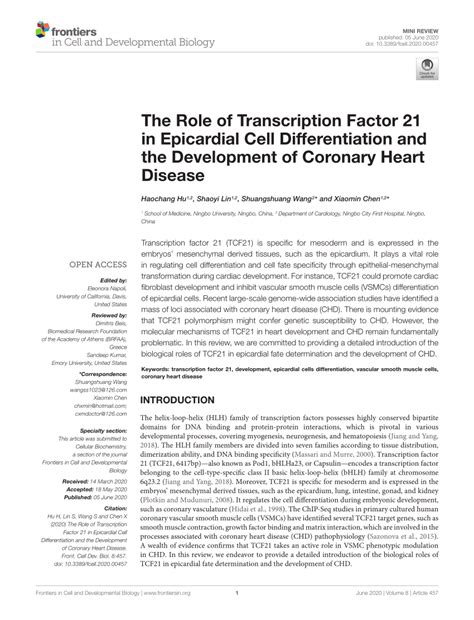Pdf The Role Of Transcription Factor 21 In Epicardial Cell