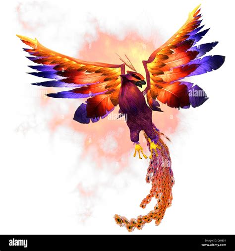 Phoenix Bird Hi Res Stock Photography And Images Alamy