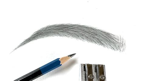 How To Draw Eyebrows Step By Step For Beginners Youtube