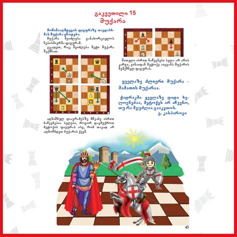 ჭადრაკის ონლაინ მაღაზია Tbilisi