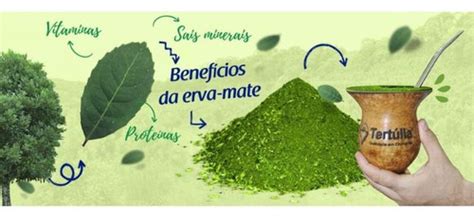 Erva Mate Chimarrão TERTÚLIA MOÍDA GROSSA VÁCUO KG Mate in Box