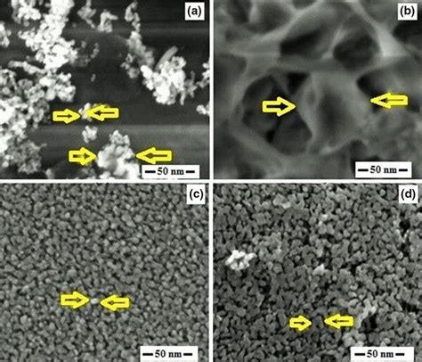 The Sem Micrographs Of Zno Nanostructures On Zno Platform Seeds A