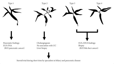 Useful Modalities In The Diagnosis Of Igg4 Related Sclerosing
