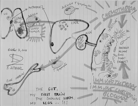 Cartoons Offer A Peek Into Cancer Immunotherapy — And Scientists Minds