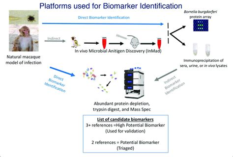 multiplatform approach for microbial biomarker download