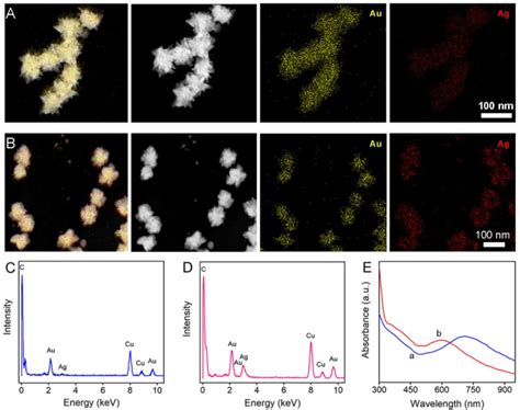 STEM EDS elemental mapping images of A 14 0 μM and B 40 0 μM