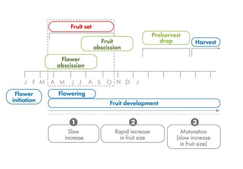 Phenology Model Timing Of Potassium Nitrate Sprays To Increase Citrus