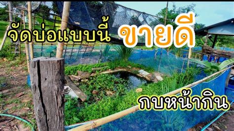 การทำบ่อกบเลียนแบบธรรมชาติ กบชอบใจ ลูกค้าชอบมากบอกว่ากบหน้ากิน😍 Youtube