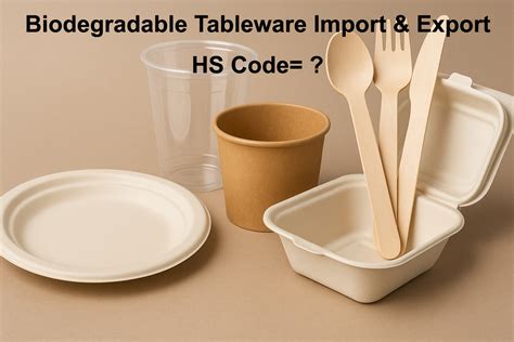 Guide To Standard Size Disposable Paper Plate In Inches And Cm