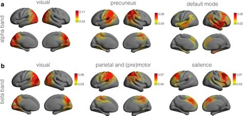non gaussian power correlation networks a non gaussian power