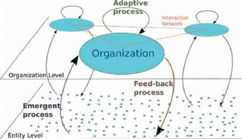 Complex Spatial Organizational Model Download Scientific Diagram