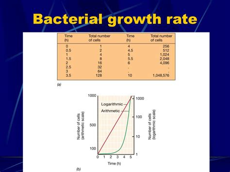 Bacterial Reproduction Microbial Growth