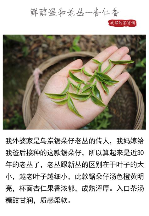 现货【老枞杏仁香】锯朵仔 2022年春茶凤凰单丛中火 100克虎窝淘