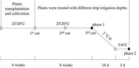Schematic Diagram Of The Experimental And Sampling Process Download