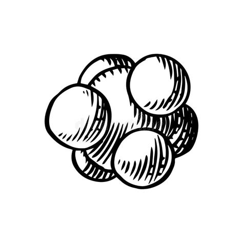Chemical Formula Or Molecule Sketch Medicine Drawing Vector Doodle