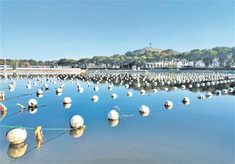 小螺蛳撬动乡村振兴大产业 无锡产新品种“蠡湖1号”将走向全国我苏网