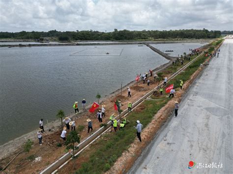 报小拍坡头干群乡贤共植新绿 助推绿美广东生态建设湛江云媒（湛江新闻网）