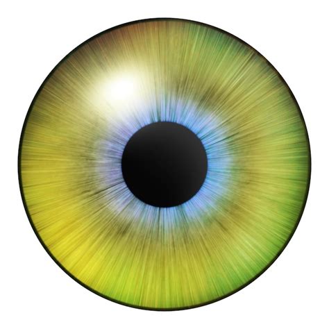 Premium Photo Iris Eyes Human Iris With Blood Veins Illustration Of An Eye Creative Digital