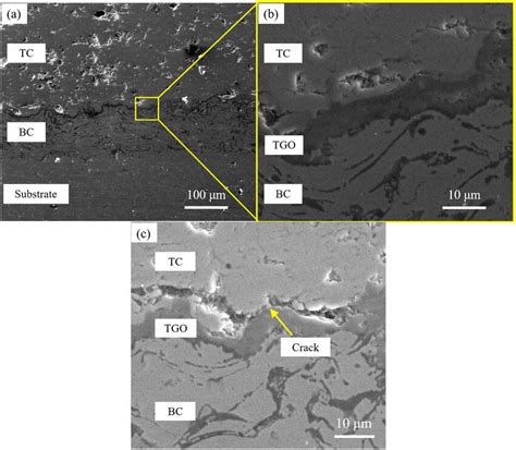 Cross Sectional Sem Micrograph Of A The Tbc Specimen Subjected To 20