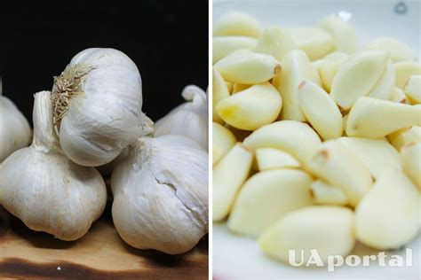 Як правильно зберігати часник взимку і які помилки найчастіше допускаємо