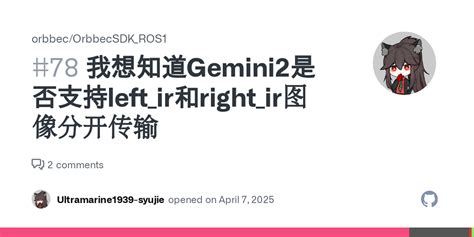 我想知道gemini2是否支持leftir和rightir图像分开传输 · Issue 78 · Orbbecorbbecsdk