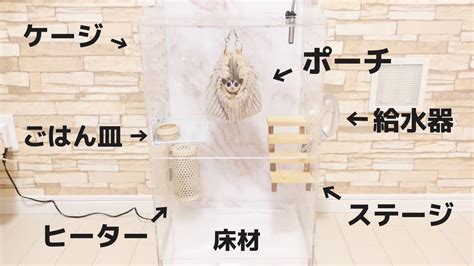 うちで使ってるフクロモモンガおすすめケージand飼育グッズを紹介します！！【飼い方】 Youtube