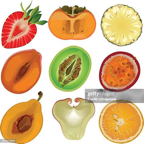 294 High Fiber Icon High Res Illustrations Getty Images
