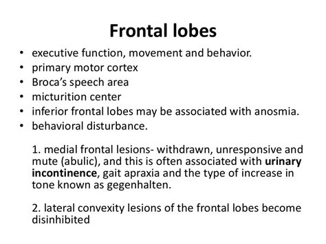Stroke Localization