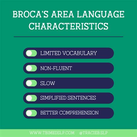 Brocas Area And Expressive Aphasia Neuroscience Behind Communication
