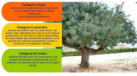 Ley De Bosques Red Agroforestal Chaco Argentina