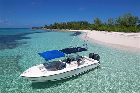 Half Day Private Charter Lil Ting Seawings Charters