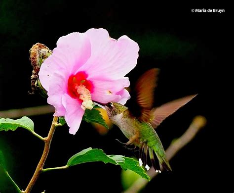 Marci Marci On Linkedin The Best Things In Life Are The Simple Things