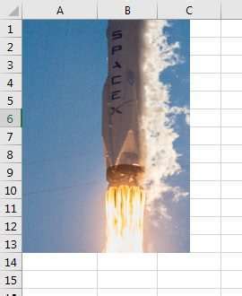 VBA Insert Picture Bug Excel Tips MrExcel Publishing