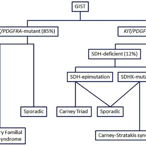 Molecular Alterations In Sporadic And Familial Gist Gists Are
