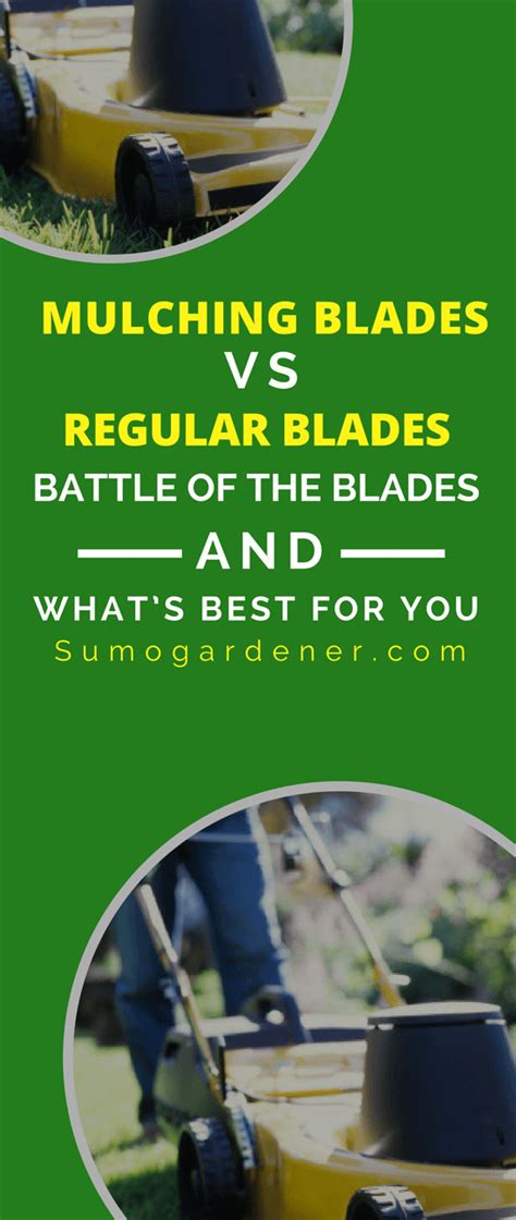 Mulching Blades vs Regular Blades: Which is Best to Use in 2021? | Mulching, Lawn edging, Lawn ...