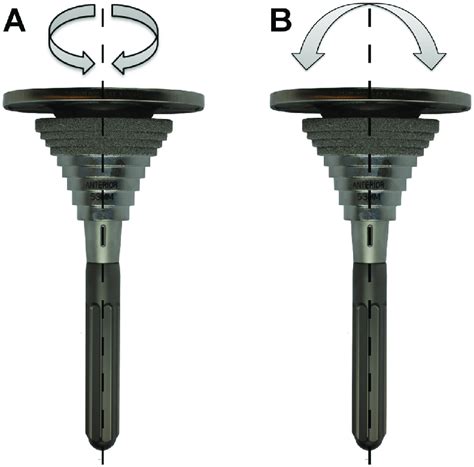 A Schematic Of The Applied Axial Torque Around The Longitudinal Stem Download High