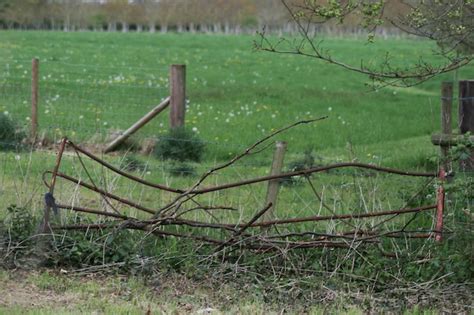 Premium Photo Fence On Farm