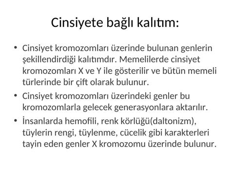 Akademik Sunum