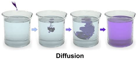 What Is Osmosis Science Trends