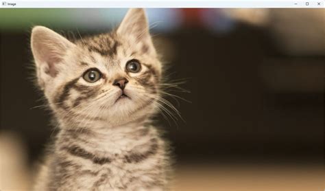 [python] Opencv Cv2 の使い方を解説