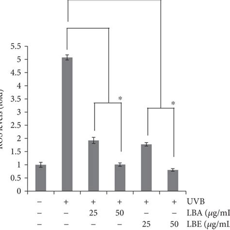 The Protective Effect Of Lb Extracts On Uvb Induced Dna Damage Of