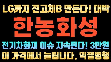 한농화성 주가전망 전기차화재 공포 하반기 지속 유일한 대안 전고체배터리급등모멘텀 유지 다만 익절병행 필요 한농화성