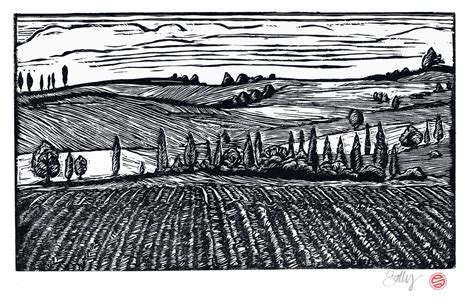 Barossa Valley South Australia Wine Region Landscape Sally Caston
