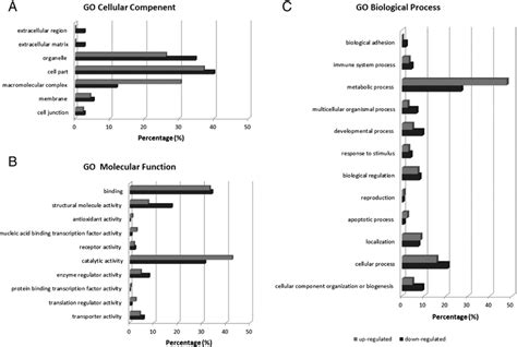 Go Classification Of The Reliably Quantified Proteins Up And Download Scientific Diagram