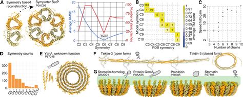 An Atlas Of Protein Homo Oligomerization Across Domains Of Life Cell
