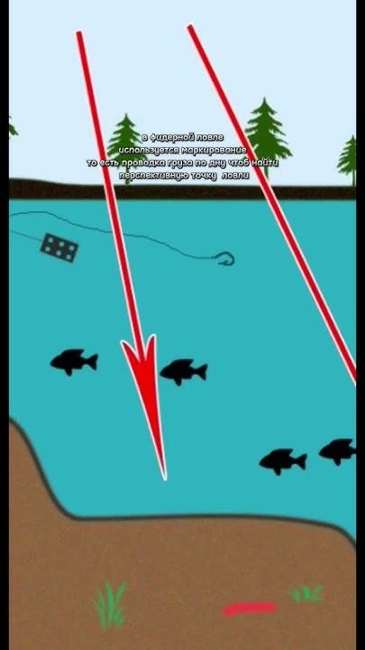 донка и фидер Youtube