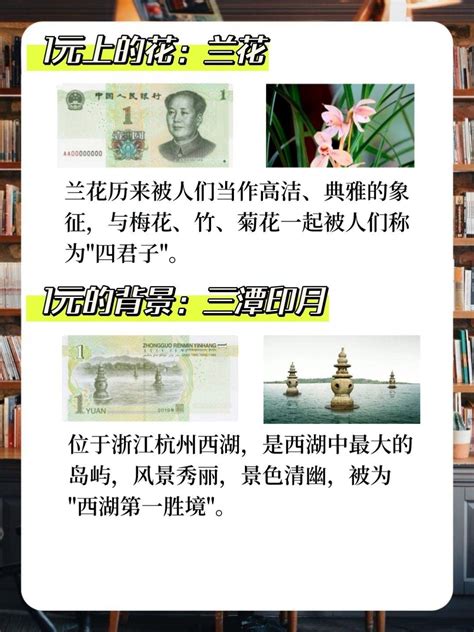 人民币上的花和景各指什么吗一定要告诉孩子建议父母收藏 知乎