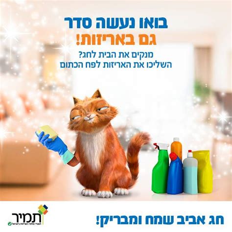 עושים סדר הסדר תמיר תאגיד מחזור האריזות בישראל