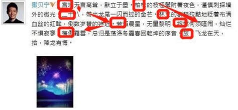 离开蒋静，被涂经纬抛弃，错失章子怡的撒贝宁，为何娶了外国人 搜狐大视野 搜狐新闻